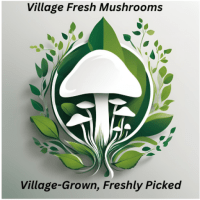 About – Village Fresh Mushrooms